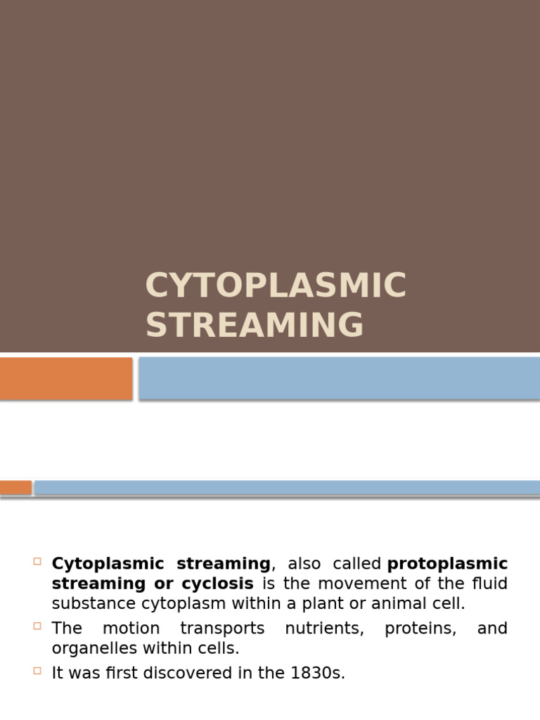 Understanding Cytoplasmic Streaming | PDF