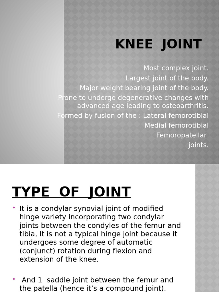 Knee Joint | PDF