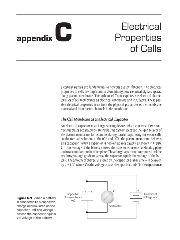 Electrical Properties of Cell Membranes | PDF | Capacitor | Capacitance