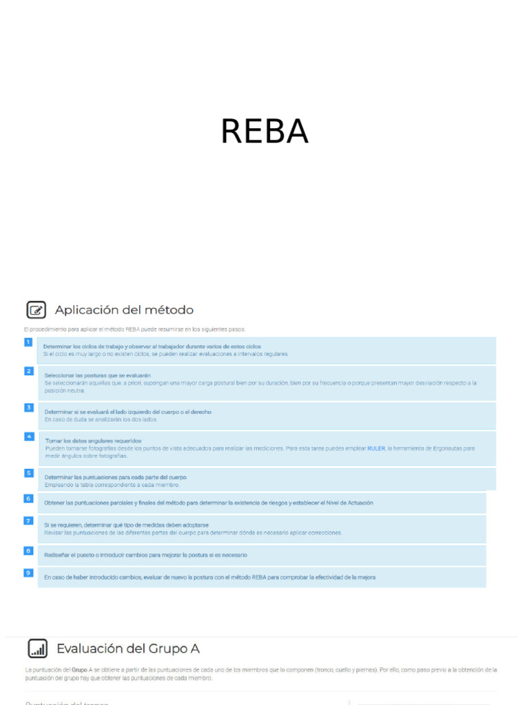 REBA-1 | PDF