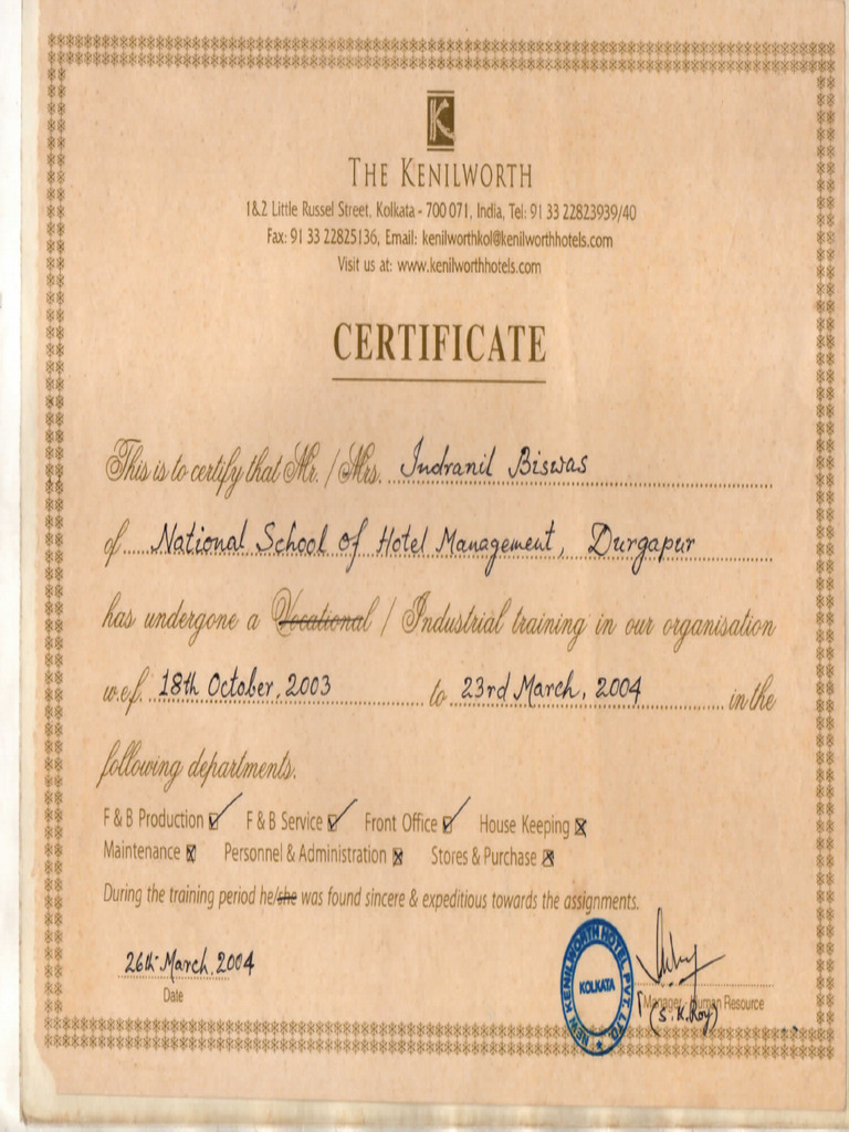 Industrial Experience Final-Indranil | PDF