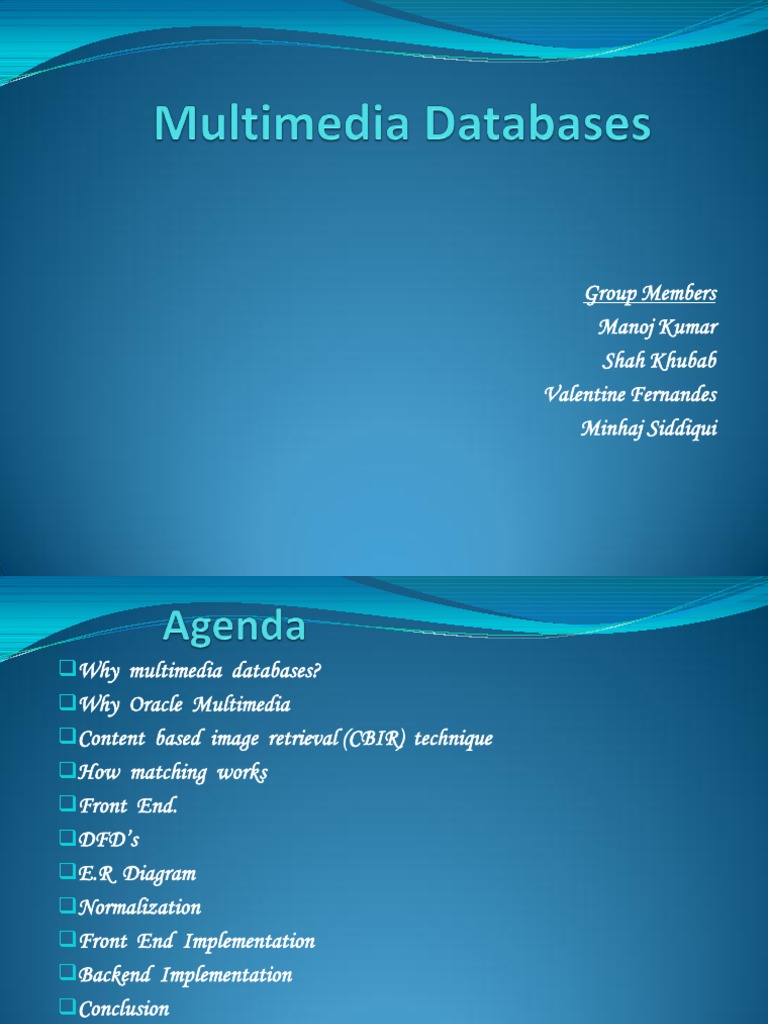 Multimedia Databases