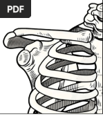 Nursing Module | PDF