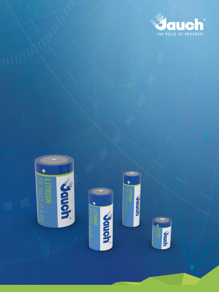 Lithium Thionyl Chloride Battery Insights | PDF | Anode | Electric Current