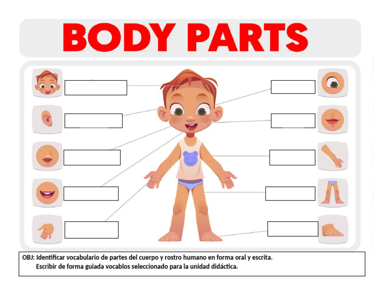1o Body Parts Writing | PDF