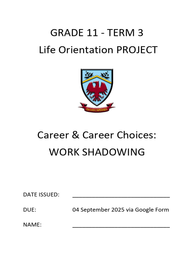 Life Orientation Term 3 PROJECT | PDF