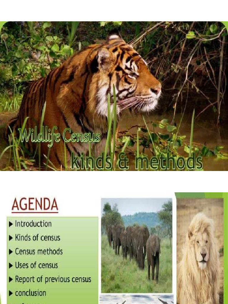 Practical # 7 Census of Mammals.pptxADN-SONC | PDF