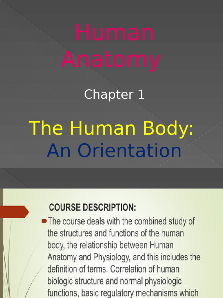 Human Anatomy Chapter 1 | PDF