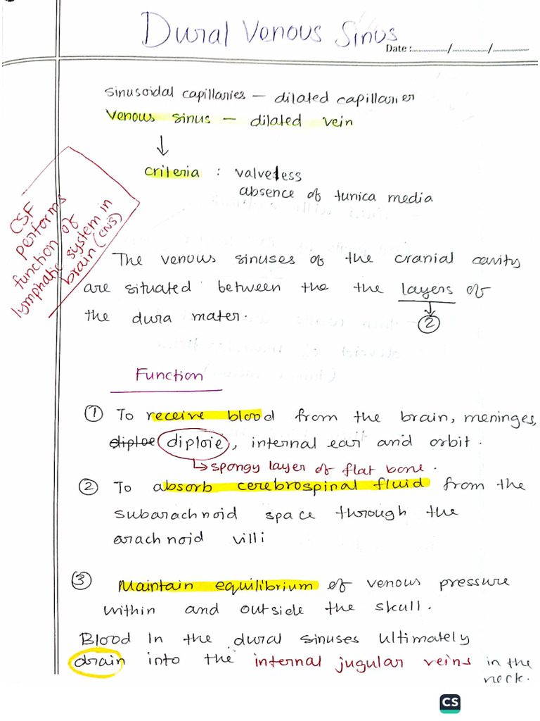 Dural Venous Sinus anatomy lecture | PDF