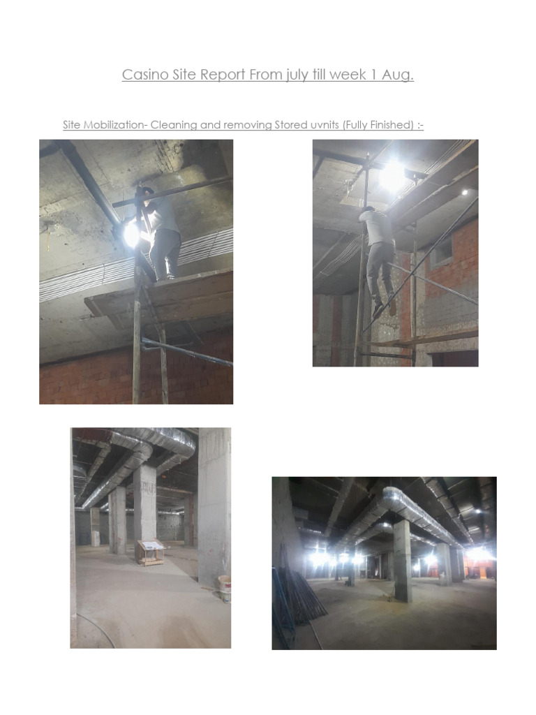 Site Report From July Till Week1 Aug | PDF