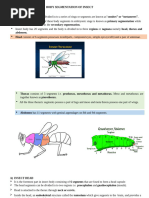 Insect Body Segmentation Guide | PDF | Insects | Arthropodology