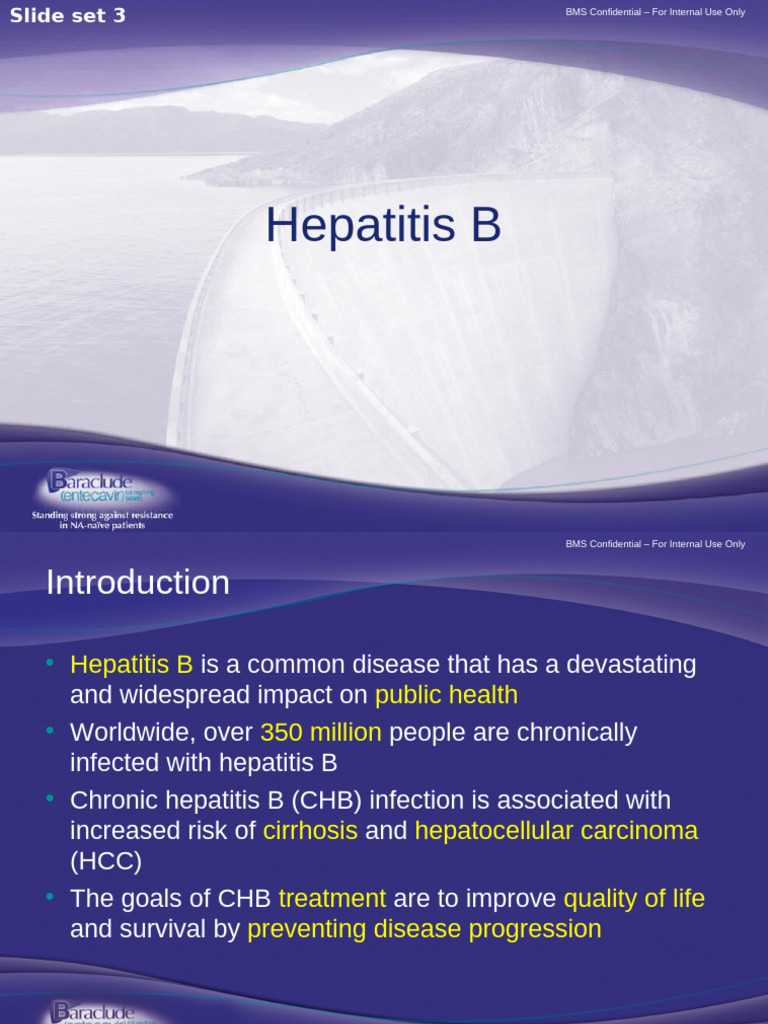 Module_3 | PDF | Hepatitis B | Hepatitis