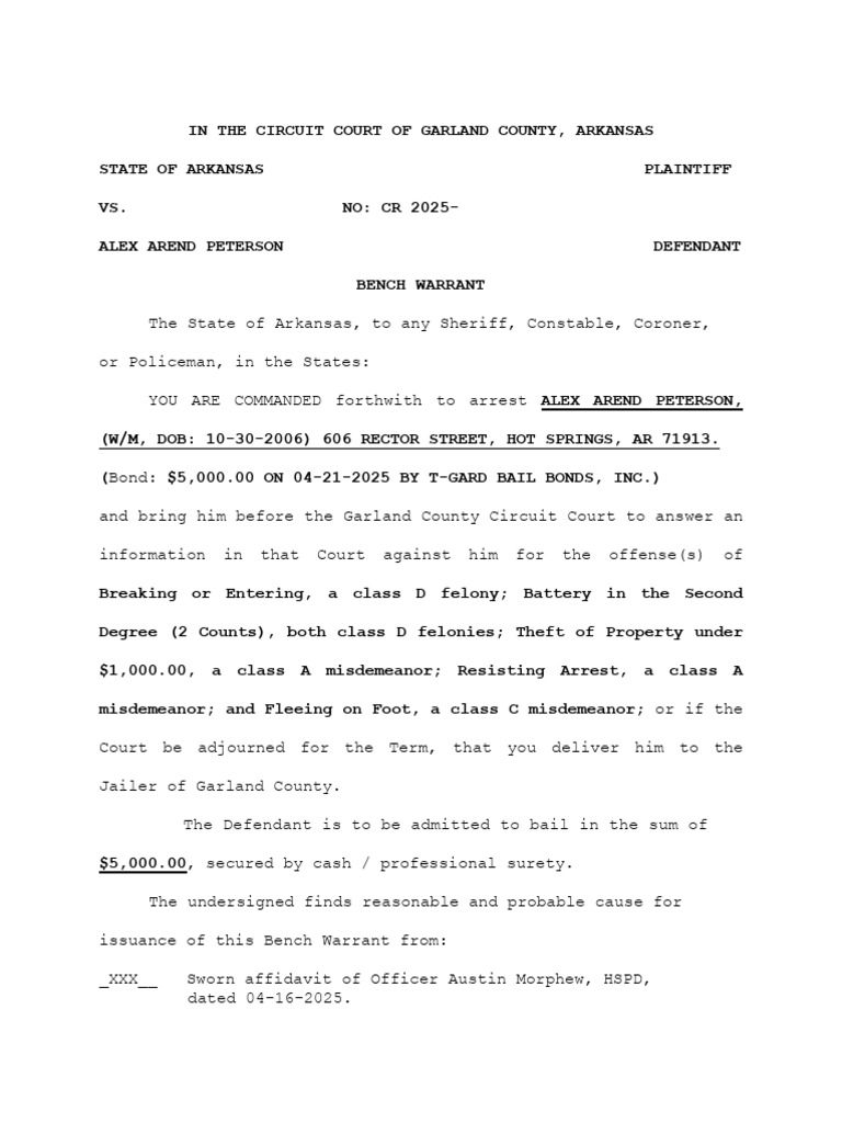 N4Q21CAODTY2A8RD8GCUY97TGQY147 | PDF | Arrest Warrant | Wisconsin Circuit Courts