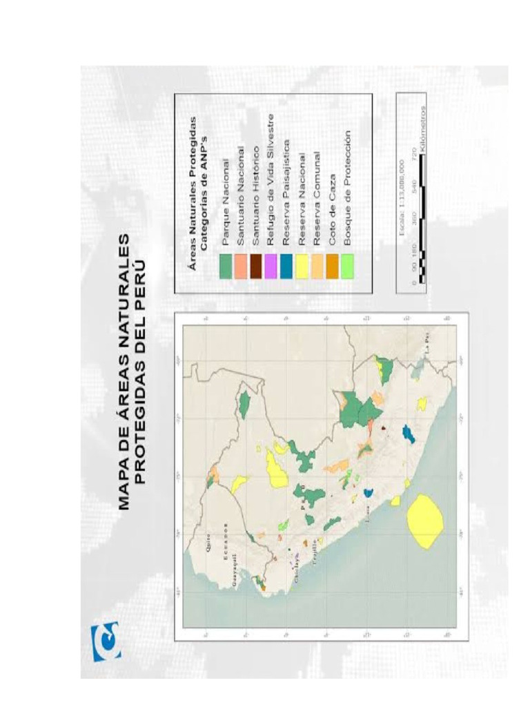 Nuevo Documento | PDF