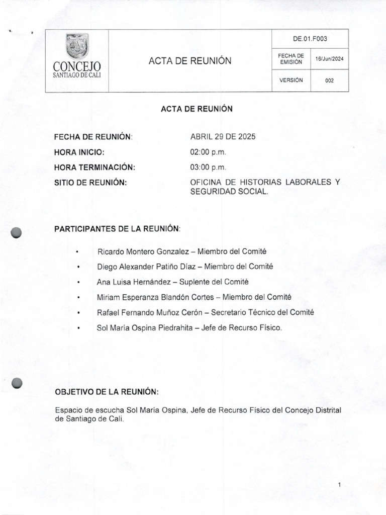Acta de Reunion - Sol Maria Ospina - 0001 - Organized | PDF
