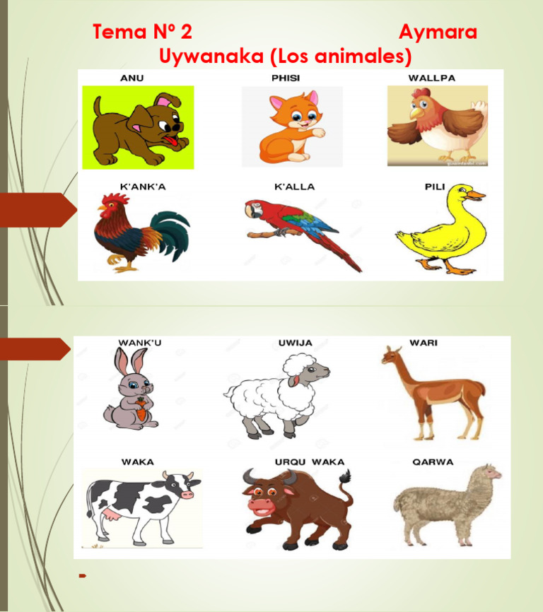 Aymara Animales Nº2 | PDF