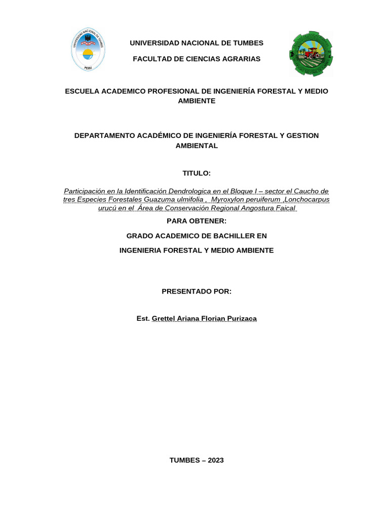 FORMATO INFORME FINAL PPP-EIFMA - Florian Purizaca | PDF | Los bosques | Arboles