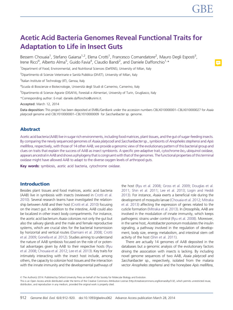 Chouaia Et Al 2014 Acetic Acid Bacteria Genomes Reveal Functional ...