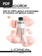 Pravana Chromasilk QuickStart Guide | PDF