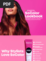 Pravana Chromasilk QuickStart Guide | PDF