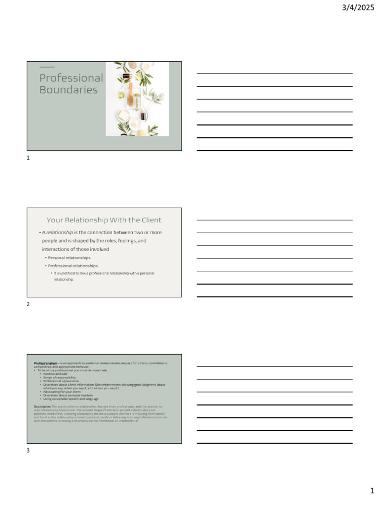 Maintaining Professional Boundaries | PDF | Social Psychology | Psychology