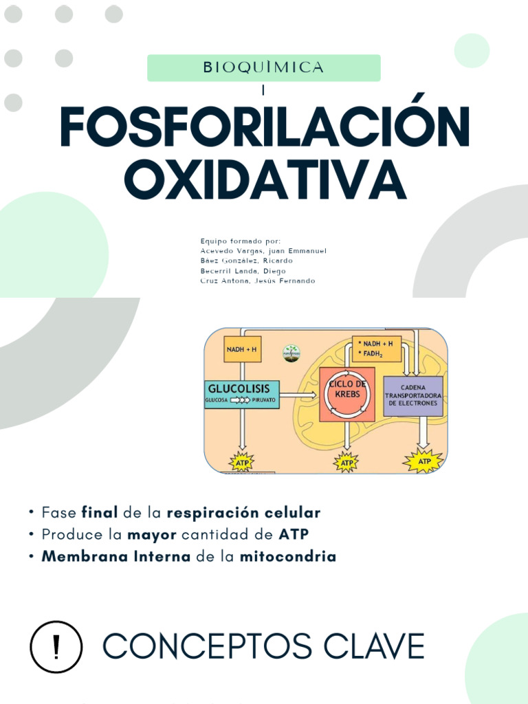 Fosf. Ox. | PDF