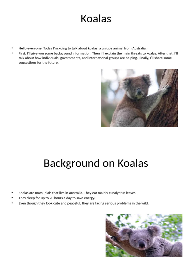 Koalas Presentation | PDF