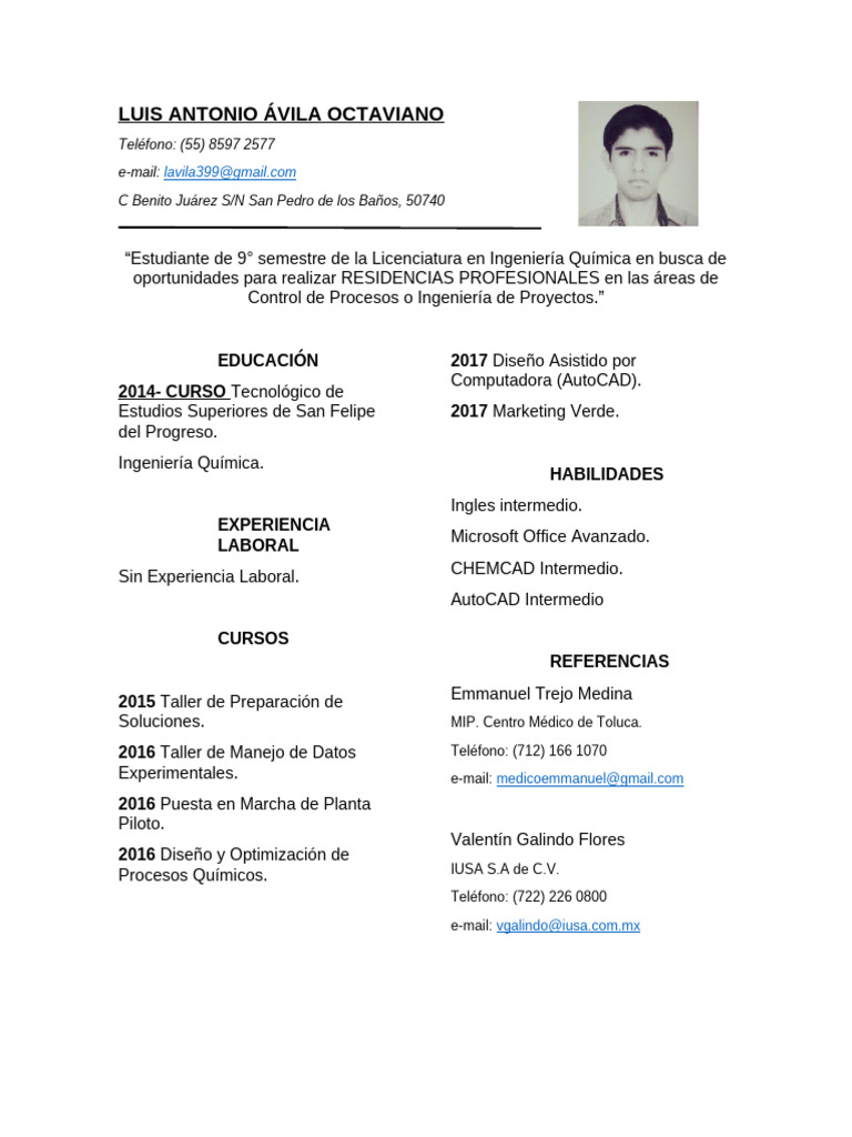 Curriculum Luis El Bueno | PDF