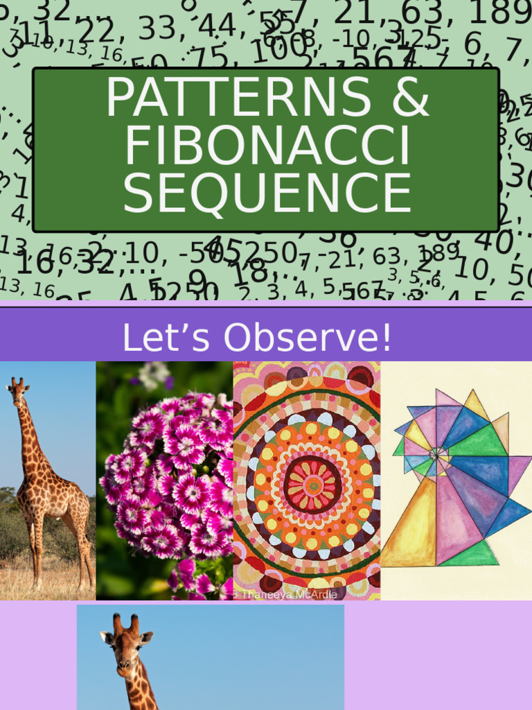Patterns and Sequences in Nature | PDF | Sequence | Numbers