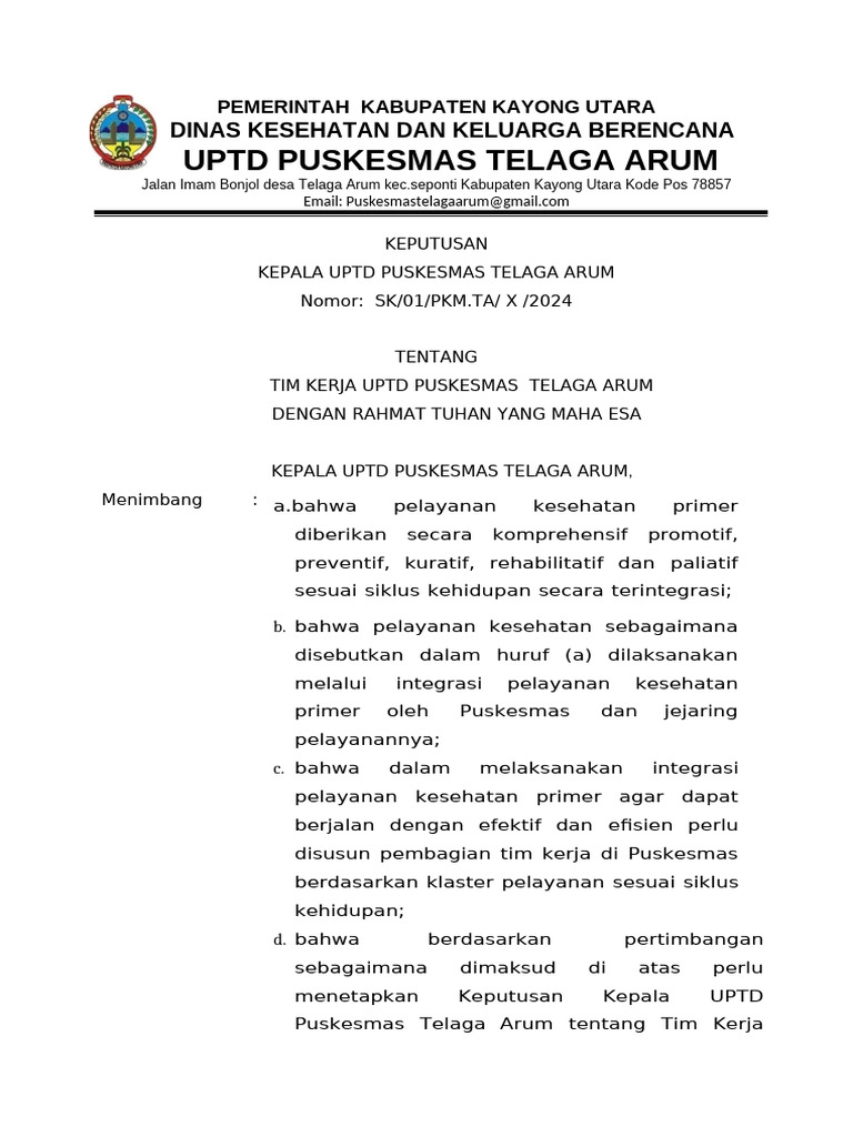 SK Tim Kerja Ilp PKM | PDF