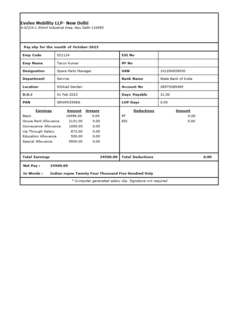 Pay Slip | PDF