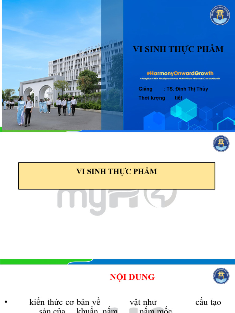 Phan 1 VSTP 24-25 | PDF