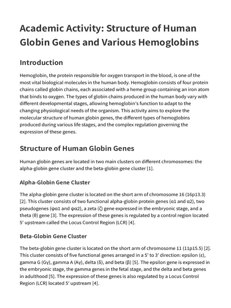 Human Globin Genes and Hemoglobin Types | PDF | Hemoglobin | Regulation ...