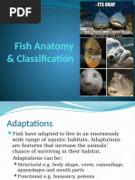 Fish Anatomy and Physiology Notes | PDF