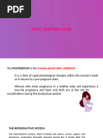 Postpartum Assessment: BUBBLE-HE Guide | PDF | Breastfeeding ...