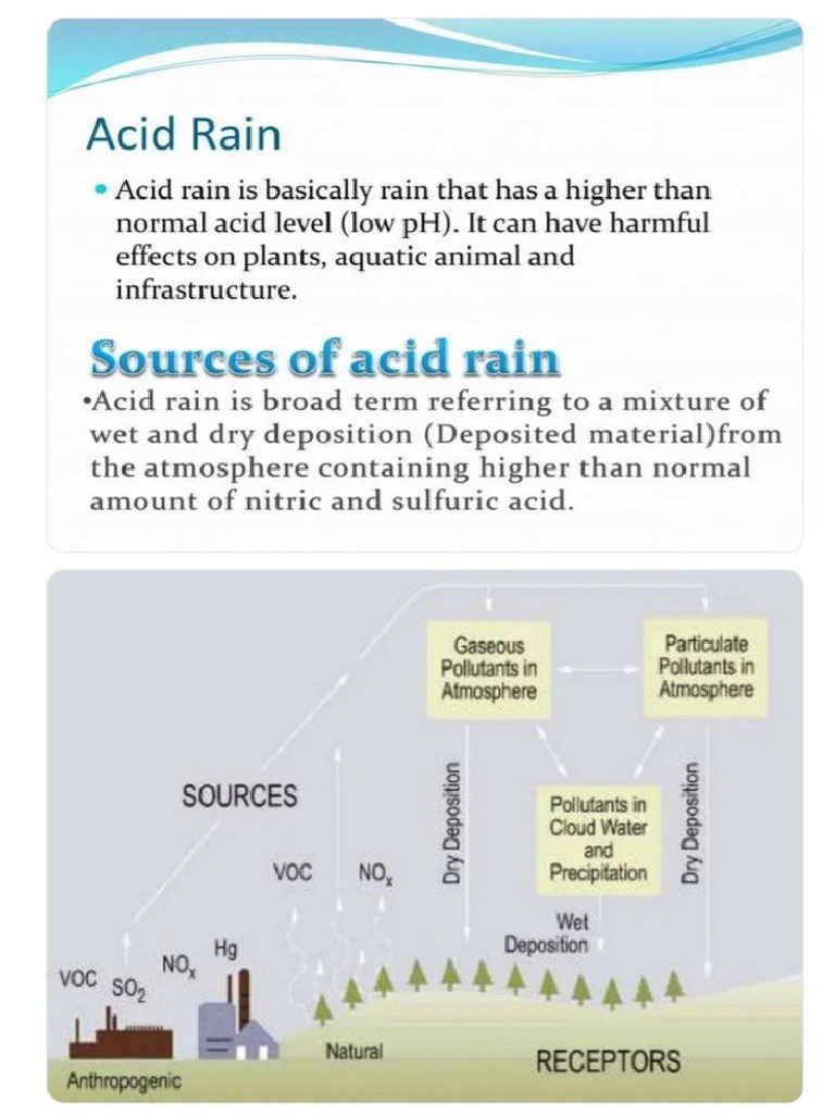Acid Rain | PDF