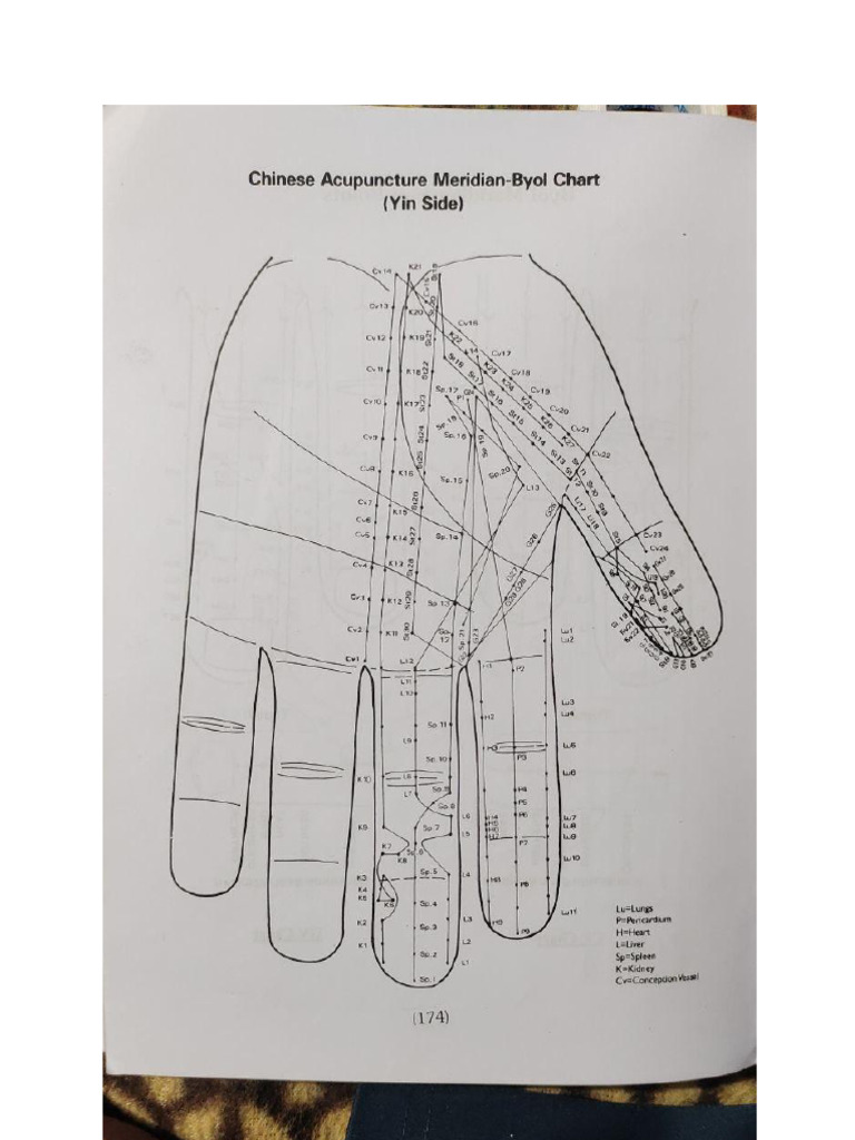 Byol Meridian Chart | PDF