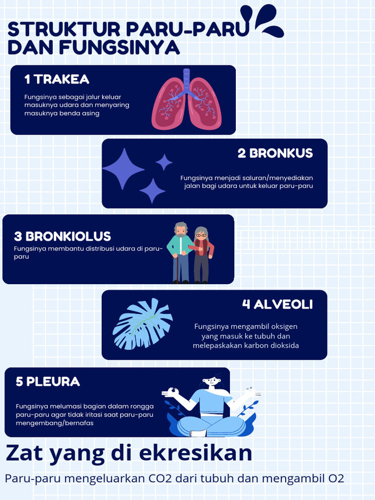 Poster A3 5 Tips Hidup Sehat_20240116_055429_0000 | PDF