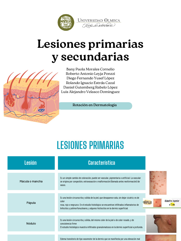 Lesiones Primarias y Secundarias Derma PDF | PDF | Piel | Epidermis