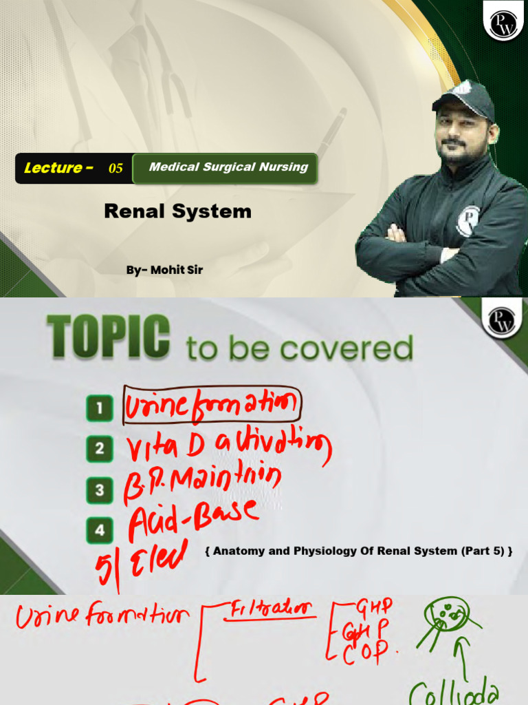 Renal System 05 Class Notes | PDF