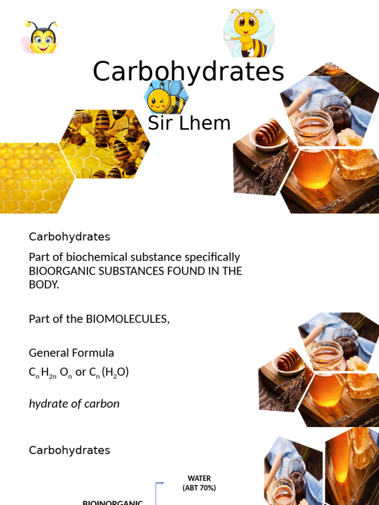 Understanding Carbohydrates and Their Types | PDF