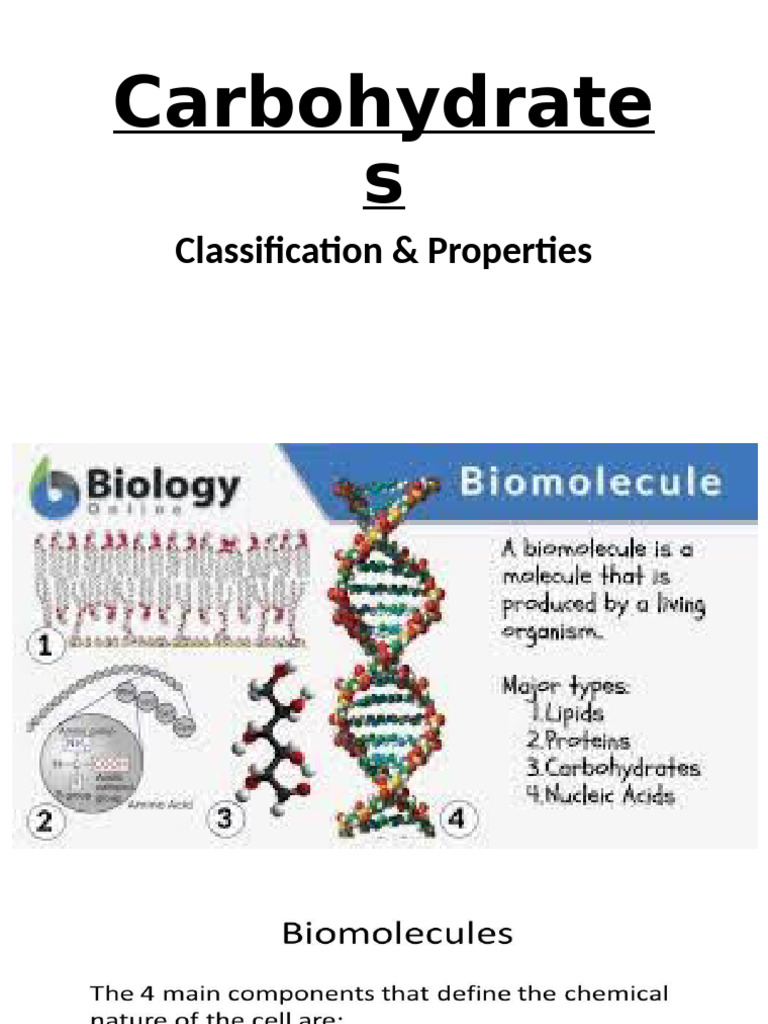 Carbohydrates. Classification & Properties | PDF