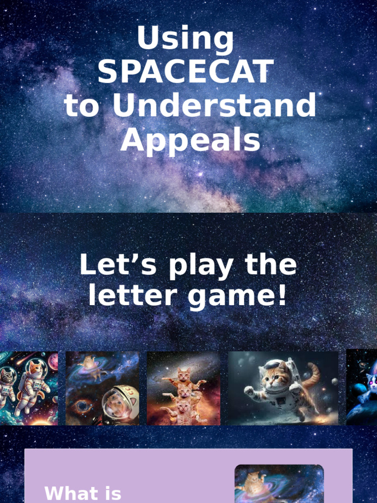 Understanding SPACECAT Appeals | PDF