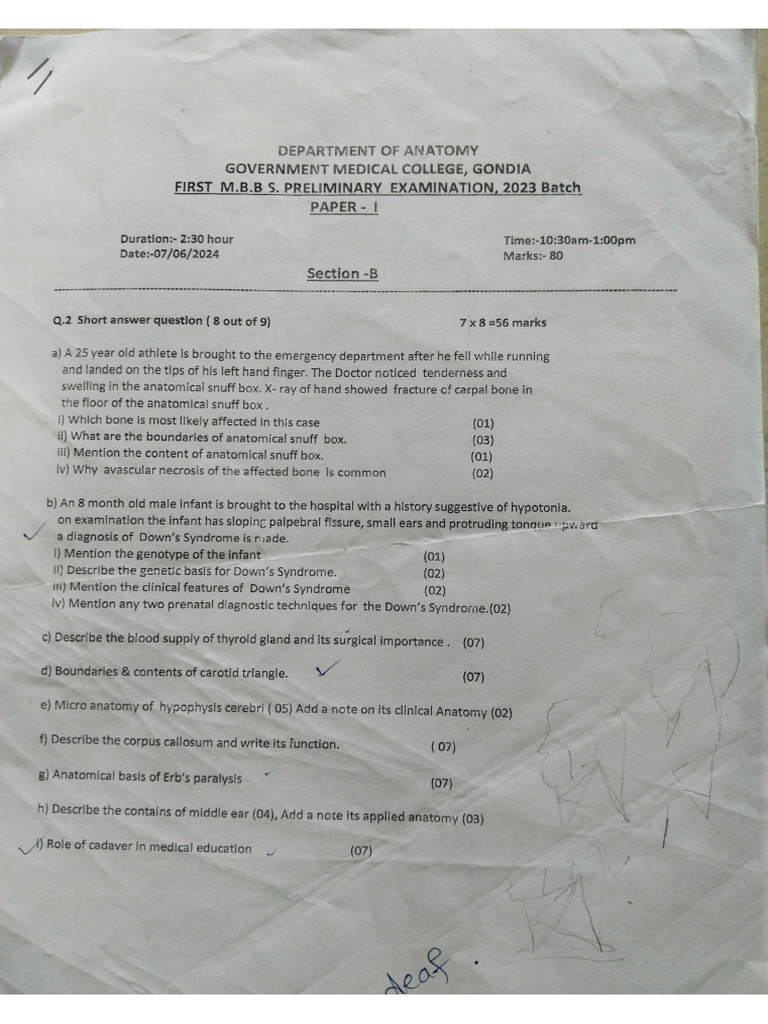Imp Questions Paper For Mbbs Students | PDF