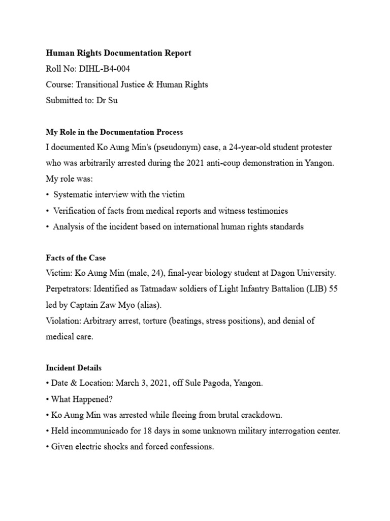 Human Rights Documentation Report | PDF