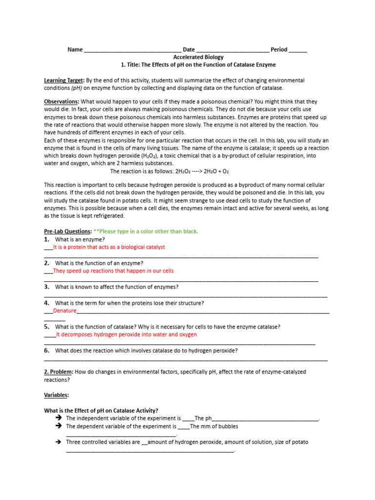 Daniel Noda - Acc Bio_Potato PH Enzyme Lab.docx | PDF | Catalase | Enzyme