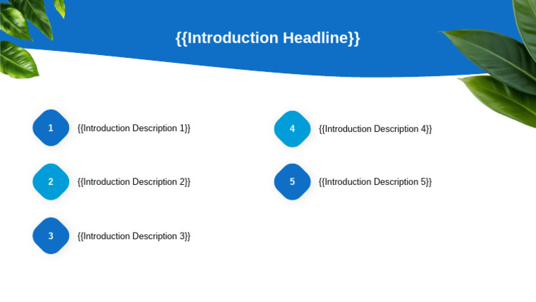 Introduction With 5 Bullet Points | PDF
