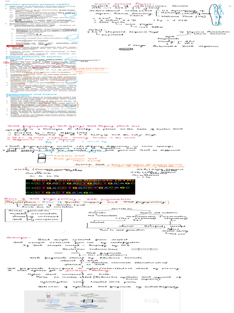 HGP Notes | PDF