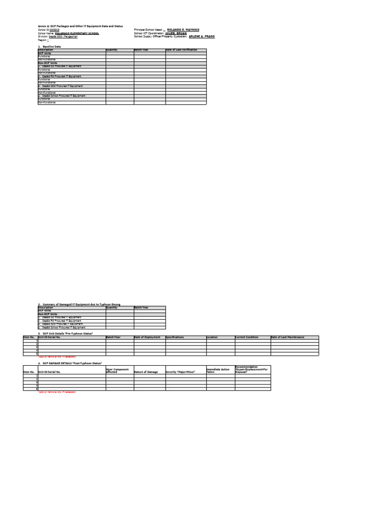 DCP IT Equipment Status Report | PDF