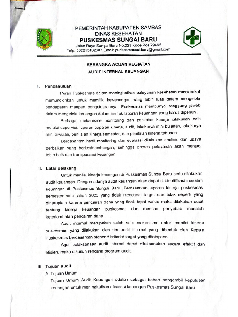 KAK Audit Internal Keuangan | PDF